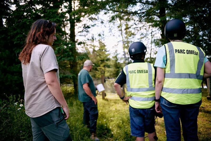 Montebello, QC: Omega Park Guided Animal Feeding in All-Terrain Vehicle - Key Points