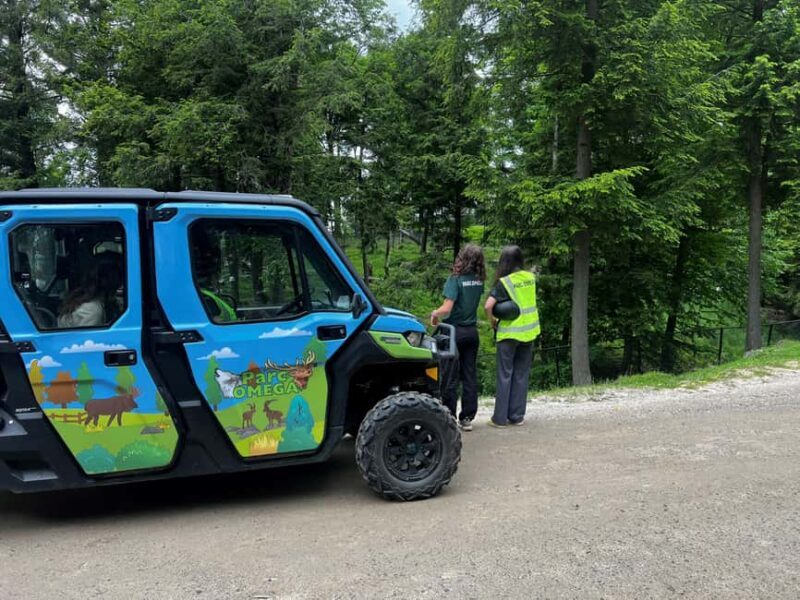 Montebello, QC: Omega Park Guided Animal Feeding in All-Terrain Vehicle - An Authentic Wildlife Adventure