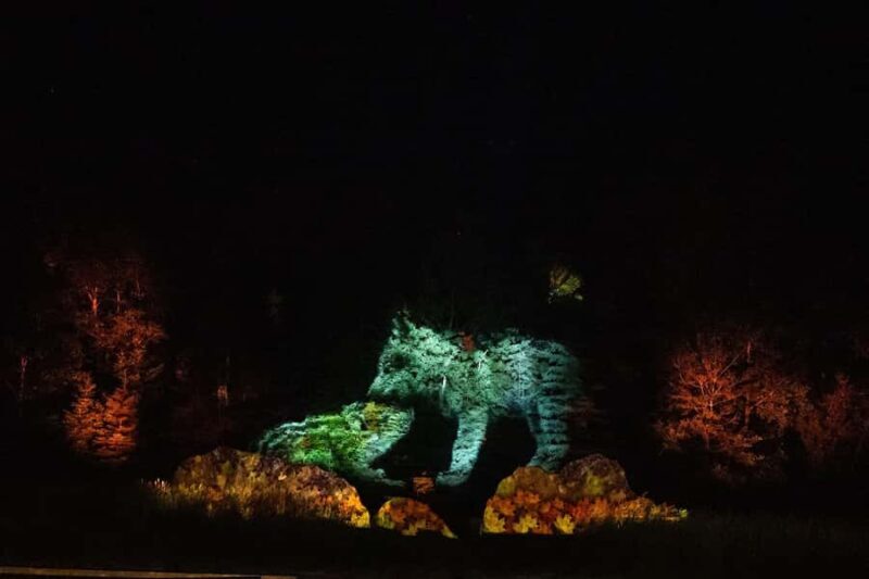Montebello, QC: Parc Omega ONIRO Immersive Experience at Night - The Sum Up