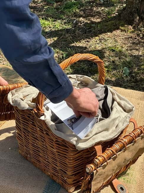 Montecatini Alto: Gourmet picnic among the olive trees with EVO oil pairing - Key Points