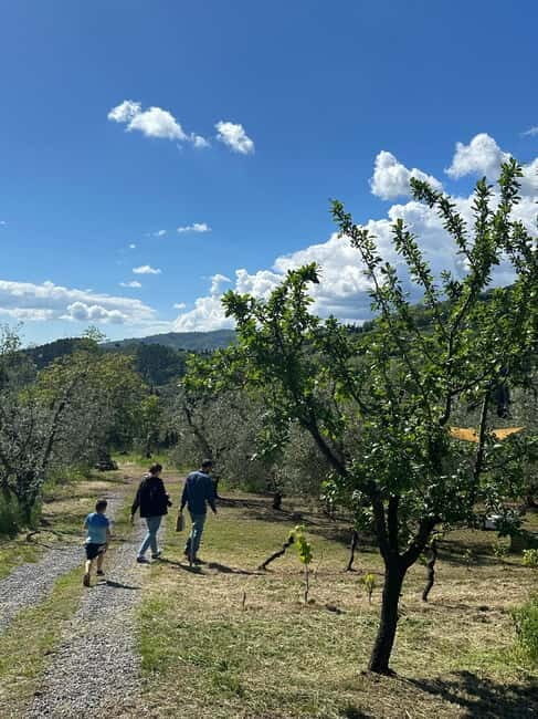 Montecatini Alto: Gourmet picnic among the olive trees with EVO oil pairing - Frequently Asked Questions
