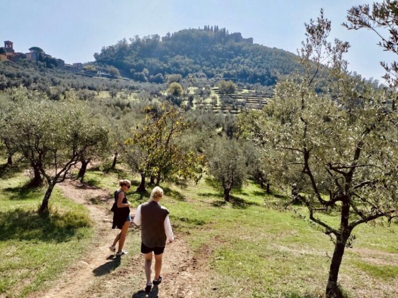 Montecatini Terme: Olive Grove Tour with Oil Tasting - Montecatini Terme: Olive Grove Tour with Oil Tasting — A Deep Dive into Tuscany’s Liquid Gold