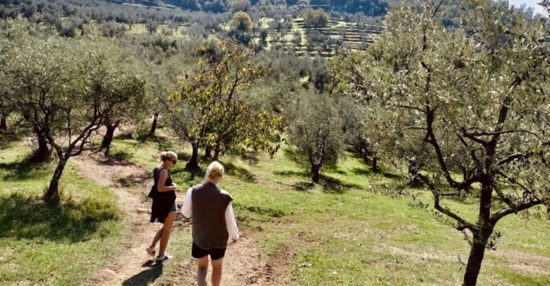 Montecatini Terme: Olive Grove Tour with Oil Tasting - FAQ