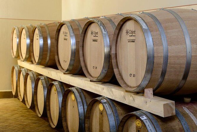 Montefalco: Winery and Oil Mill Tour in with Light Lunch - Transportation & Accessibility