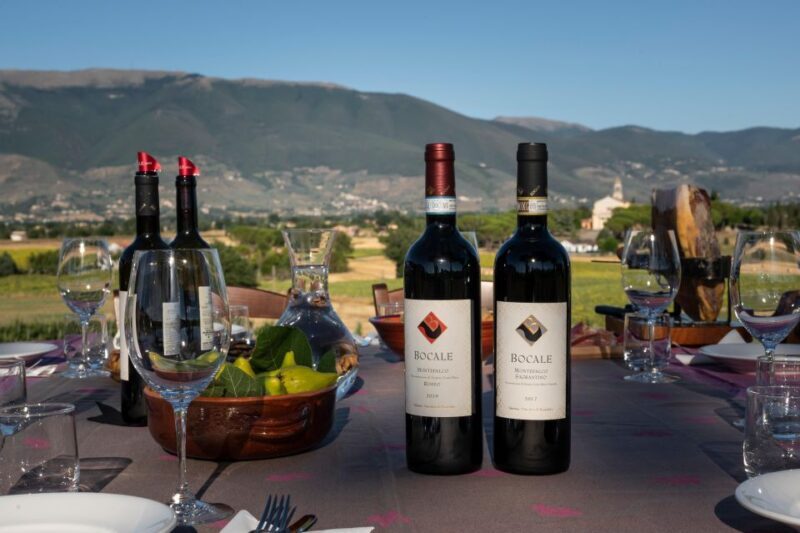 Montefalco: Winery and Vineyard Tour and Private Tasting - Who Should Consider This Tour?