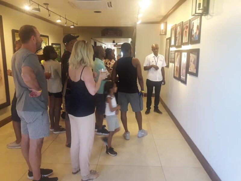 Montego Bay: 8-Hour Appleton & Pelican Bar Return Transfer - Key Points