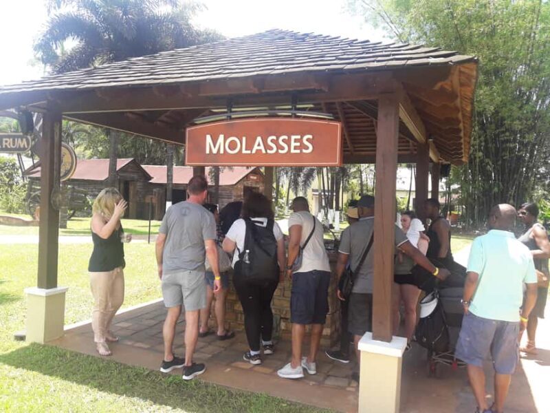 Montego Bay: 8-Hour Appleton & Pelican Bar Return Transfer - Starting Point and Logistics