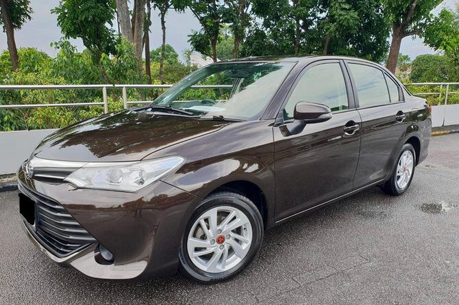 Montego Bay Airport Transfers To and From Montego Bay Hotels - Detailed Breakdown of the Transfer Experience