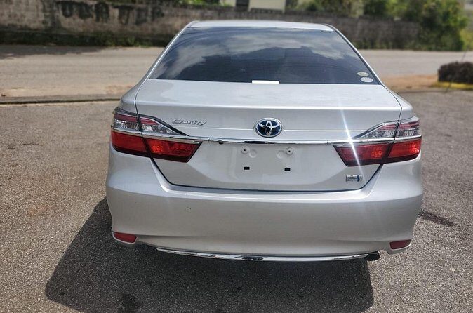 Montego Bay Airport Transfers to Princess Grand Jamaica - Detailed Breakdown of the Experience