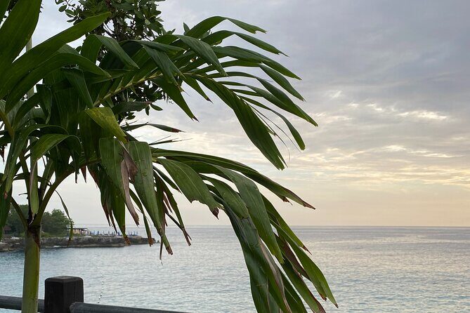 Montego Bay Airport Transport to Sandals White House - An In-Depth Look at the Transfer Experience