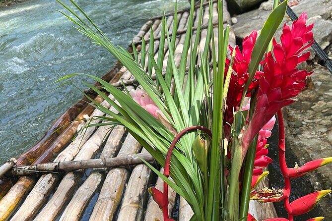 Montego bay Bamboo Rafting & Sunset at Ricks cafe Negril - The Sum Up