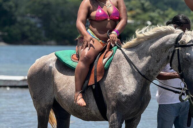 Montego Bay Beach Horseback Riding Tour - The Itinerary: What You Can Expect