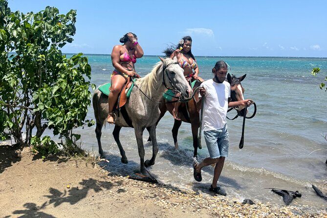 Montego Bay Beach Horseback Riding Tour - The Experience from the Travelers’ Perspective