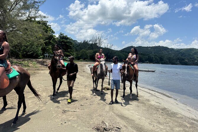 Montego Bay Beach Horseback Riding Tour - Who Will Love This Tour?