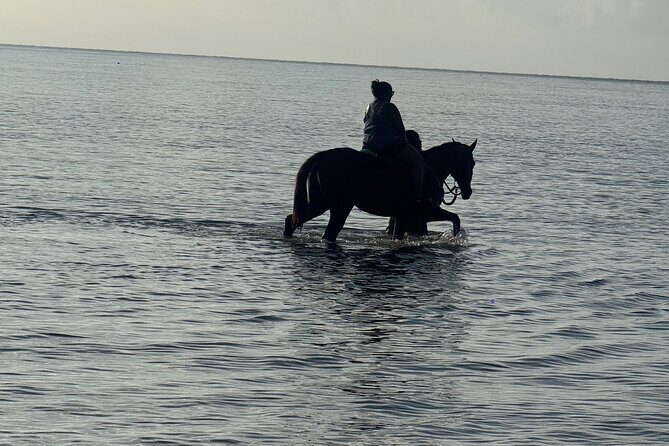 Montego Bay Beach Horseback Riding Tour - FAQ