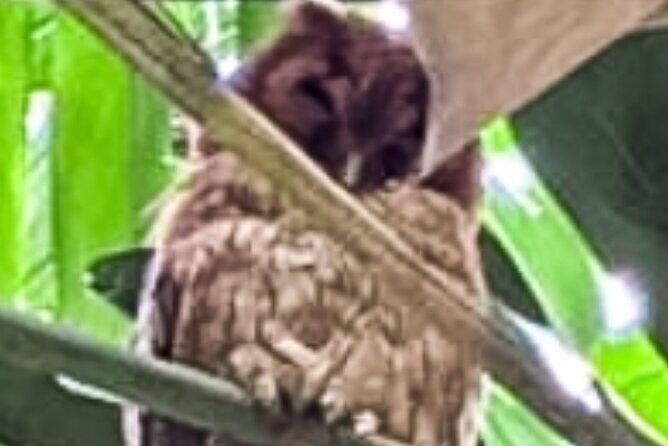 Montego Bay Bird Sancturary with Stunning Ocean Views - FAQs