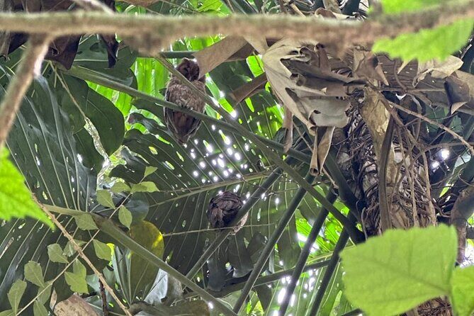 Montego Bay Bird Sancturary with Stunning Ocean Views - Final Thoughts