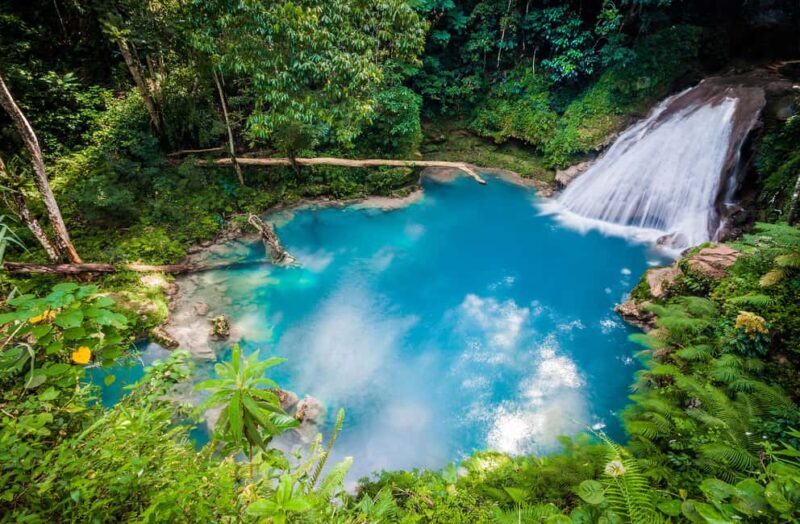 Montego Bay: Blue Hole, Dunns River, and Reggae Hill Tour - An In-Depth Look at the Tour Experience