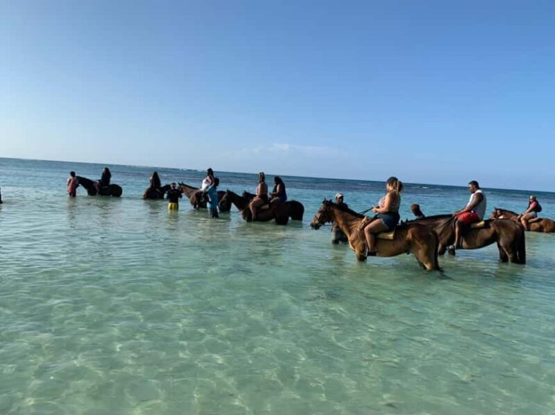 Montego Bay: Blue Hole & Horseback Riding Adventure - Horseback Riding Along Jamaica’s Scenic Coastline