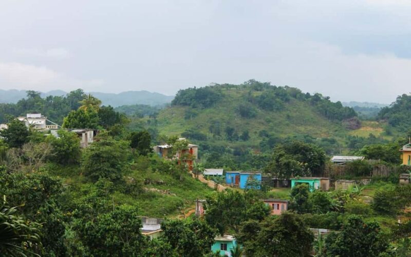 Montego Bay: Bob Marley Tour to 9 Mile, St. Ann - Who Is This Tour Best For?