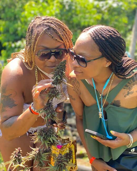 Montego Bay: Cannabis Farm, Bamboo Rafting, & Foot Massage - The Sum Up