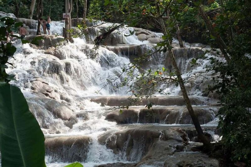 Montego Bay: Chuck Norris Falls & Dunn's River Falls Tour - Practical Details & Value