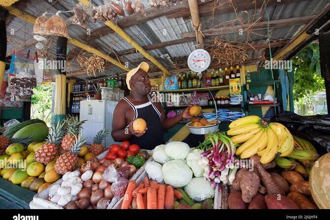 Montego Bay City Highlights & Bird Sanctuary & Shopping - Who Should Book This Tour?