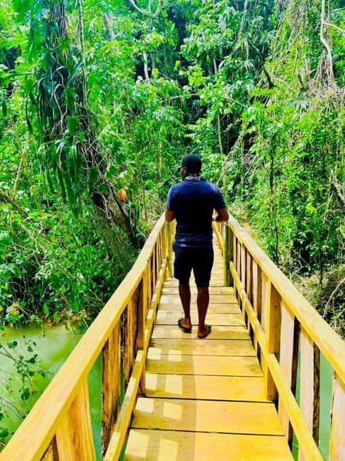 Montego Bay: Cockpit Caves Experience - Exploring the Montego Bay: Cockpit Caves Experience