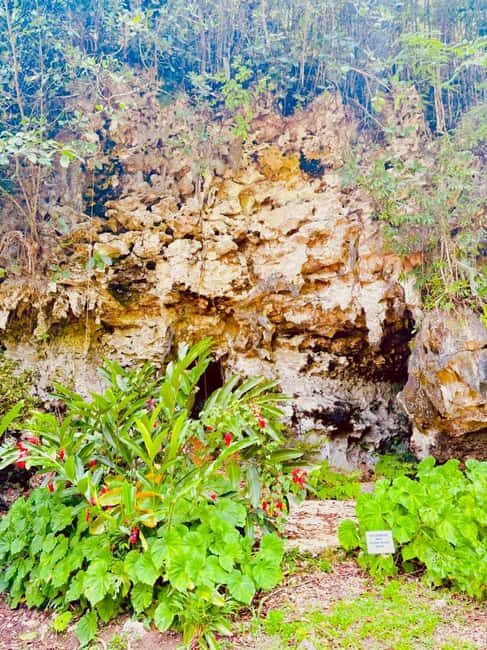 Montego Bay: Cockpit Caves Experience - Practical Details and Considerations