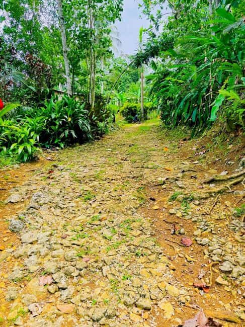 Montego Bay: Cockpit Caves Experience - Who Should Consider This Tour?