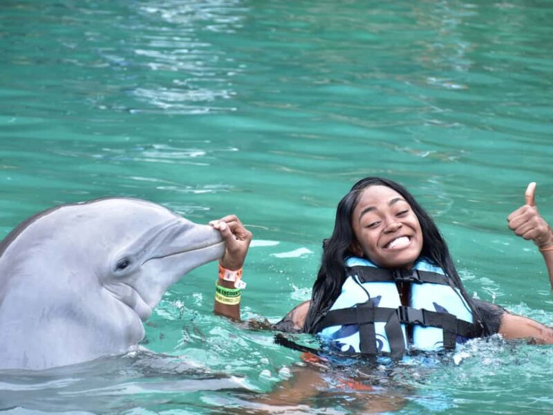 Montego Bay: Dolphin Cove Ocho Rios Day Trip with Transfers - Key Points
