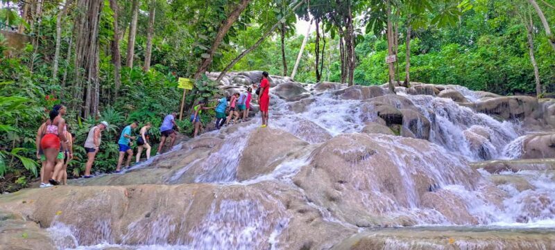 Montego Bay: Dunn's River Falls & Blue Hole Combo - Key Points