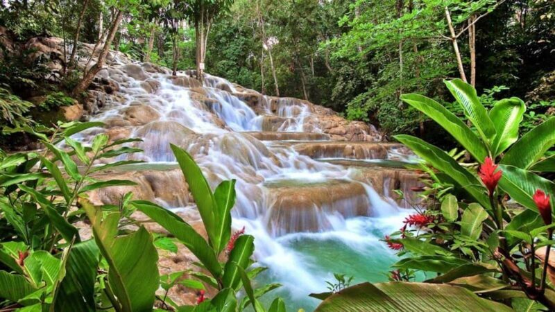 Montego Bay: Dunn's River Falls & Horseback Riding Adventure - An Authentic Jamaican Experience: What to Expect