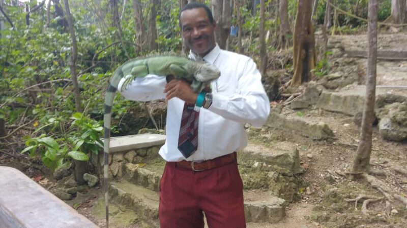 Montego Bay Excursion and Beach - What You Can Expect from This Tour