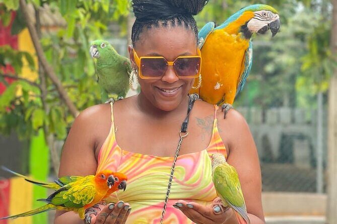 Montego Bay Exotic Herbs, Birds and Animals Interaction Tour - What Makes This Tour Special?