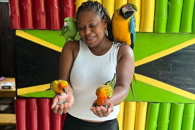 Montego Bay Exotic Herbs, Birds and Animals Interaction Tour - Practical Tips for Enjoying the Tour