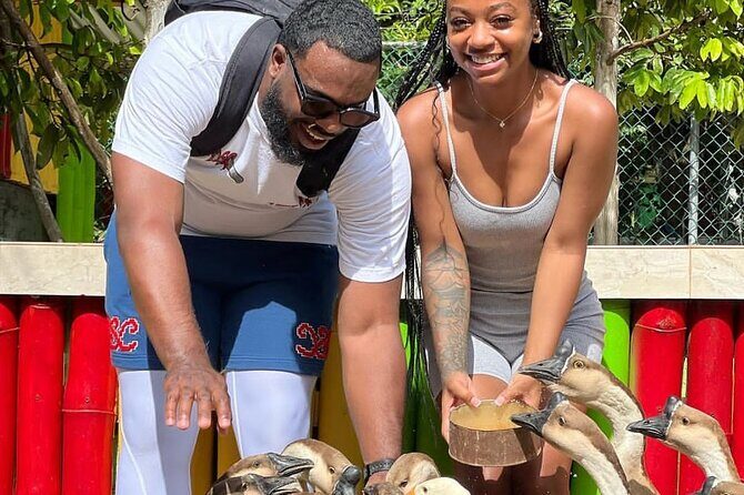 Montego Bay Exotic Herbs, Birds and Animals Interaction Tour - FAQ