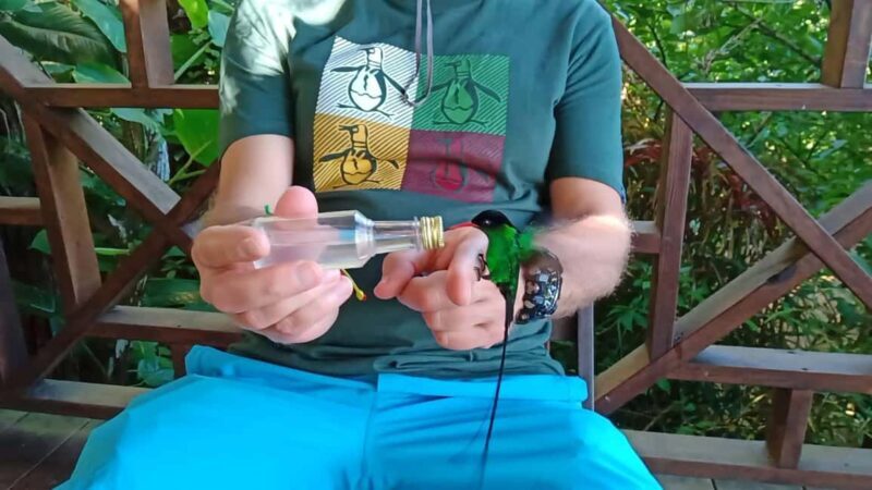 Montego Bay/Falmouth: Rockland Bird Sanctuary Private Tour - The Logistics: How the Tour Works