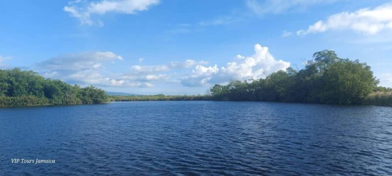 Montego Bay: Half-Day Black River Safari - Key Points