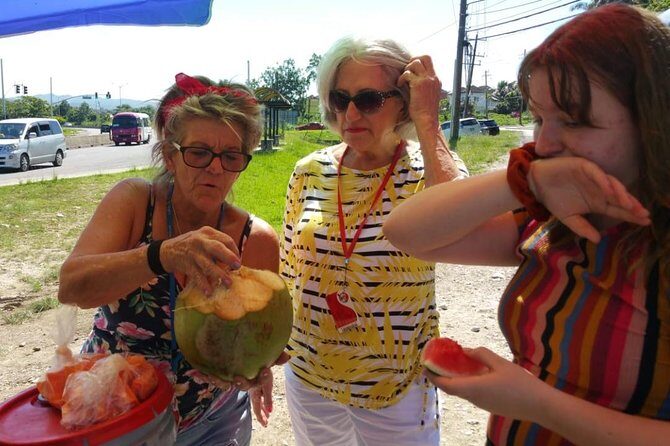 Montego Bay hi lite and culture tour - Why Choose This Tour?