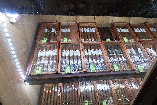 Montego Bay Highlight Tour & Shopping - The Sum Up