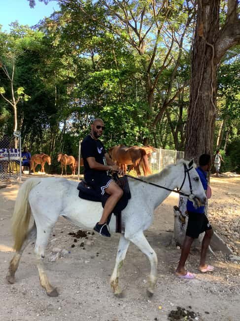 Montego Bay: Horseback Riding and Dunn's River Falls Tour - Key Points