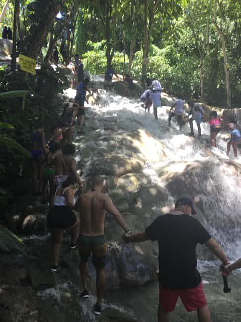 Montego Bay: Horseback Riding and Dunn's River Falls Tour - An Honest Look at This Jamaica Adventure