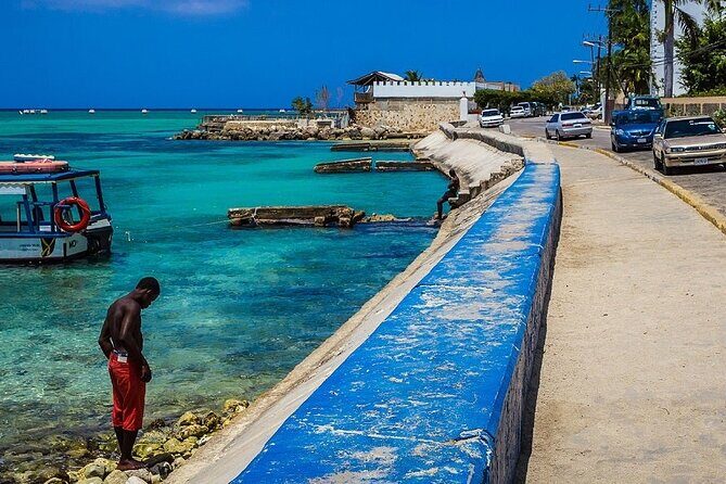 Montego Bay Local Experience & Beach from Cruise Ships - What the Reviews Say