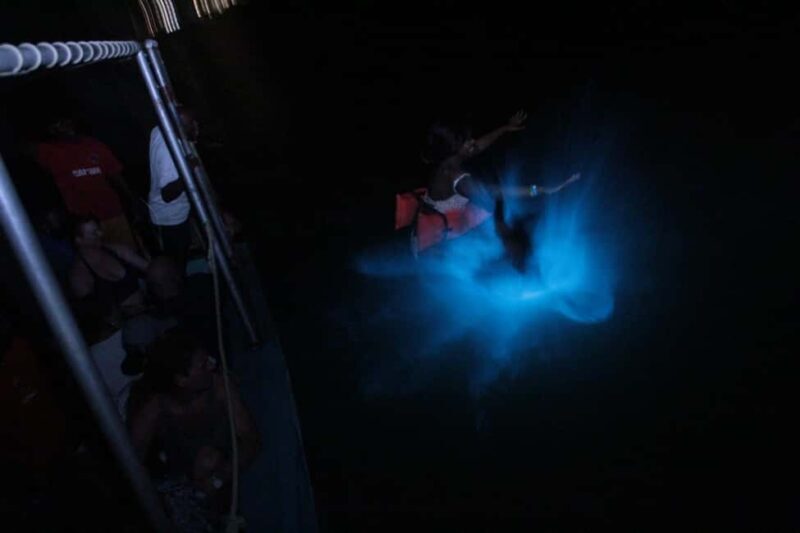 Montego Bay: Luminous Lagoon Evening Boat Tour - An In-Depth Look at the Luminous Lagoon Boat Tour