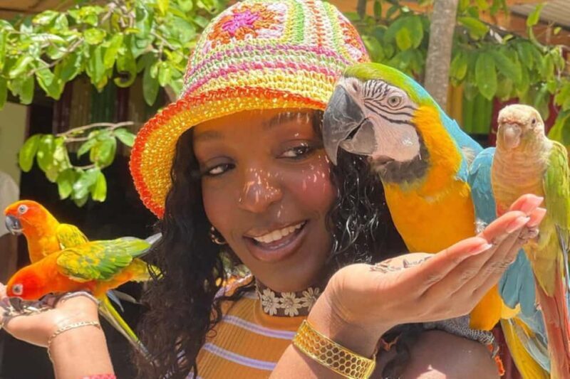 Montego Bay: Marijuana Farm and Bird Sanctuary Tour - Key Points