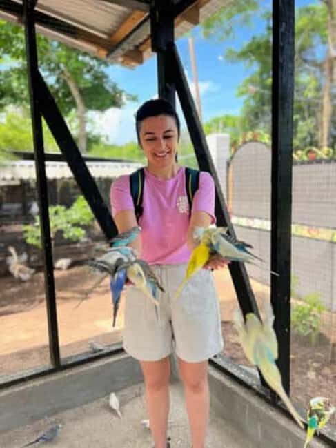 Montego Bay: Marijuana Farm and Bird Sanctuary Tour - Who Should Consider This Tour?