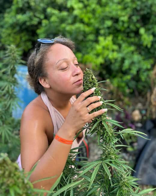 Montego Bay: Marijuana Farm and Bird Sanctuary Tour - Breaking Down the Experience