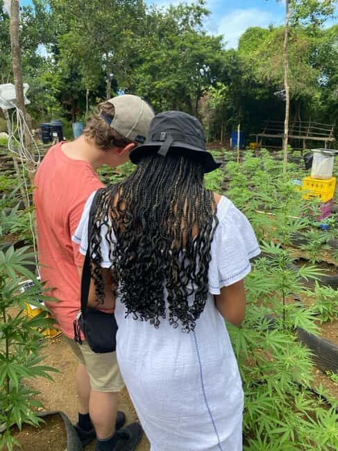 Montego Bay: Marijuana Farm and Bird Sanctuary Tour - FAQ