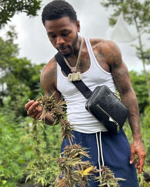 Montego Bay Marijuana Farm Private Tour - Key Points